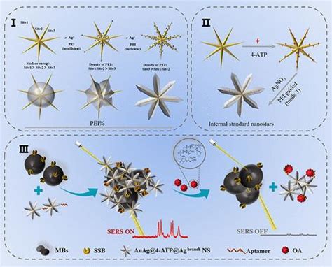 Ag 层沿 Auag Nanostars 的分支从核心到尖端的受控扩散，以提高贝类中冈田酸的 Sers 检测acs Sensors X Mol