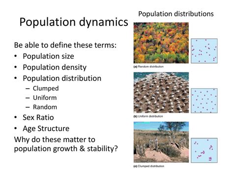 Esm 221 Lecture 5 Monday April 17 Ppt Download