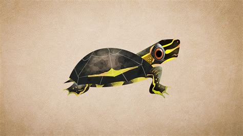 All About Crowned River Turtle