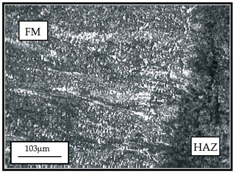 Exploitation Characteristics Of Teeth Flanks Of Gears Regenerated By Three Hard Facing Procedures