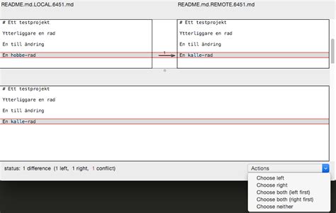 Conflicts Git Guide