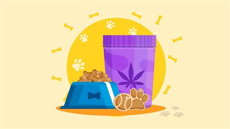 Best Cbd Dog Treats Choosing High End Products Is Crucial Cfah