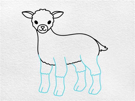 How To Draw A Lamb Helloartsy