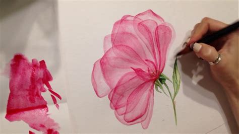 Как нарисовать цветок акварелью How To Draw A Flower In Watercolor