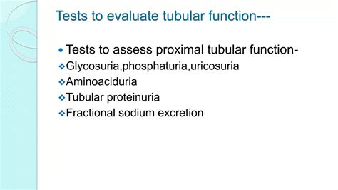 Renal Function Test Pptx