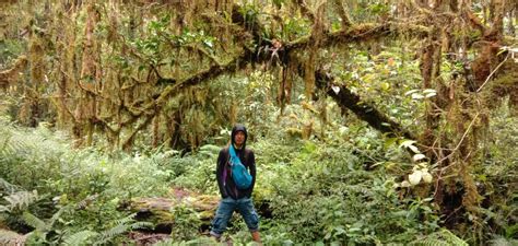 Telaga Biru Merangin Sebuah Pesona Tersembunyi Dallynfriends Adventure