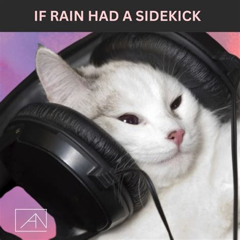 Stream If Rain Had A Sidekick By Achintya Nigam Listen Online For Free On Soundcloud