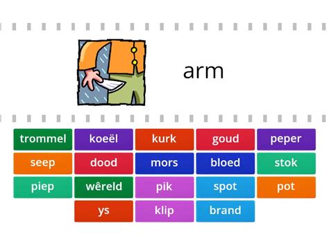 Intensiewe Vorm Find The Match