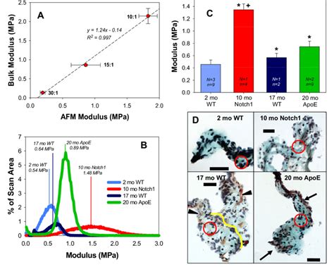 A Bulk Modulus And Afm Median Modulus Of Pdms Gels Show Close