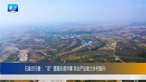 【奋进新时代 美丽乡村行⑧】石家庄行唐县：“农”墨重彩谱华章 农业产业助力乡村振兴