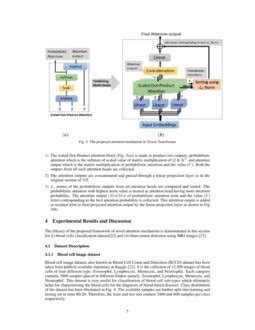 A Novel Vision Transformer With Residual In Self Attention For Biomedical Image Classification