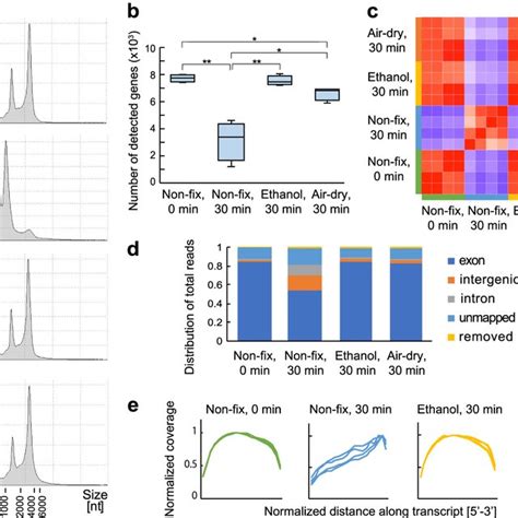 Evaluation Of Tissue Lysis And Rna Purification Effects On Rna Seq From