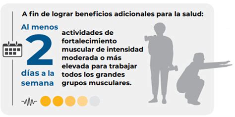 Nuevas Recomendaciones De La Oms Sobre La Práctica De Ejercicio Físico