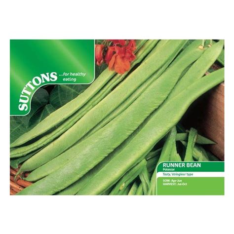 Runner Bean Seeds Polestar Stringless Knights Garden Centres