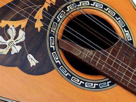 How Many Strings Does A Mandolin Have Teds List