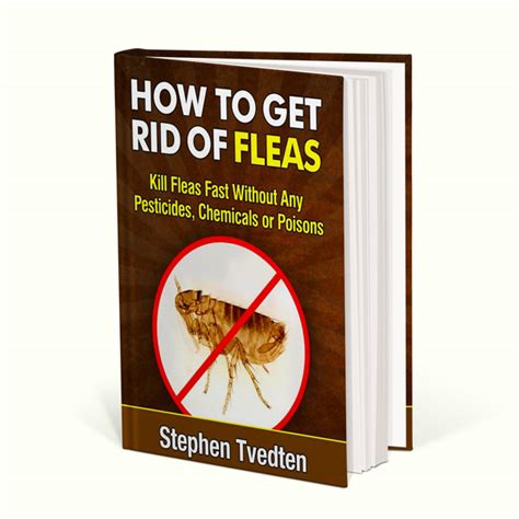 How To Get Rid Of Fleas Safe Solutions