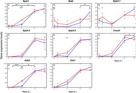 expression trajectories of erythroid genes coding for proteins