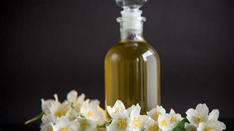 5 Essential Oils For Sex Drive To Spice Up Your Love Life Healthshots