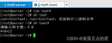 Shell条件测试练习题2编写一个shell程序此程序的功能是显示root下的文件信息然后建立一个kk的 Csdn博客