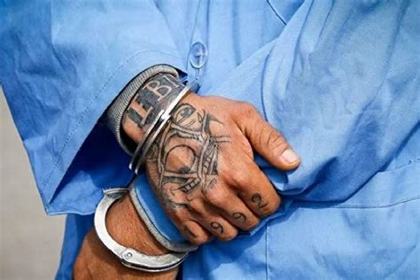 دستگیری عاملان تیراندازی به هانی کُرده جزئیات