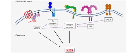 The Promise Of The Integrin Receptors Targeted Library Chemistry Anywhere