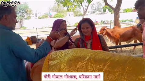 गौरी गोपाल गोशाला में गौ दान कैसे होता है आज देखिए Gauri Gopal