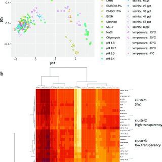 PCA Map And Heatmap A PCA Plot Of A Aspersa Eggs Transparency Data Download Scientific