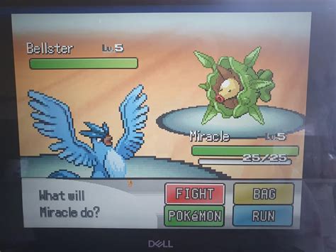 Um So I Made A Randomised Game Rpokemoninfinitefusion