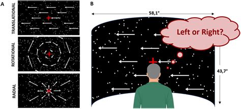 Stimuli And Experimental Protocol A Stimuli Were Random Dot