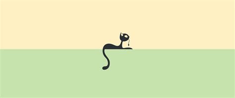 Кошка на зеленом фоне 66 фото
