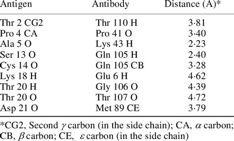 Interaction Of B Cell Epitope Peptide Antigen Amino Acid Sequence With