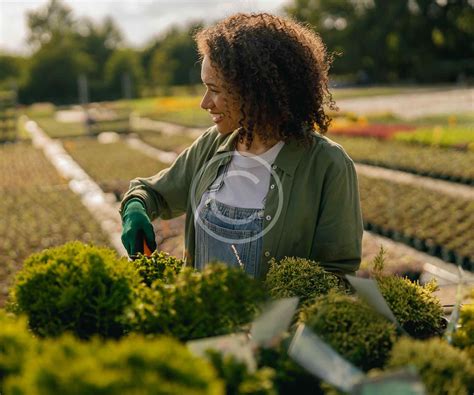 Hedge Pruning Proflora