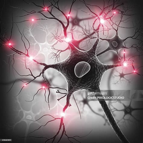 Nerve Cell Artwork High Res Vector Graphic Getty Images