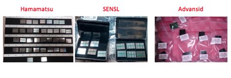 Mu2e Sipms From Hamamatsu Sensl And Advansid Download Scientific