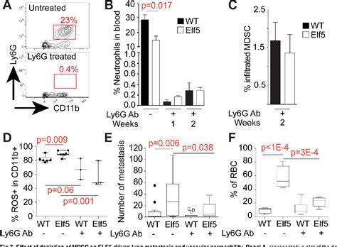 Figure 7 From Elf5 Drives Lung Metastasis In Luminal Breast Cancer