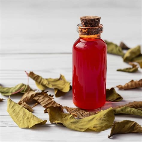 Premium Ai Image Organic Oil Bottles