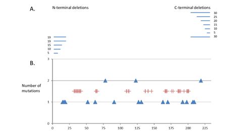 Schematic Representation Of Totk1 A Shows The N And C Terminal