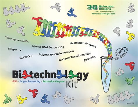 Biotechnology Modeling Kit Ap Biology Learning Activities