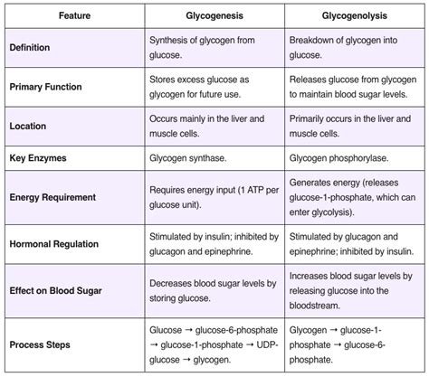Glycogenesis Vs Glycogenolysis Biology Notes Online