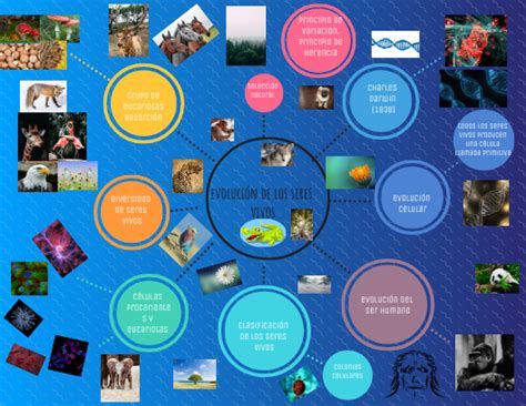 Light Colorful Simple Mind Map Simple Mind Map Mind Map How To