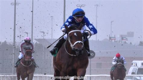 اسطبل النصف Alnesf Stable