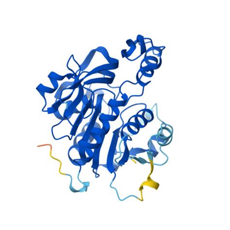 Rcsb Pdb Afafp37413f1 Computed Structure Model Of Homoserine O