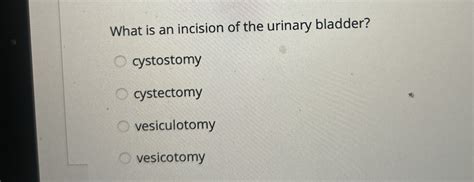 Solved What Is An Incision Of The Urinary