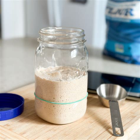 Beginner Sourdough Starter Recipe My First Steps Into The World Of