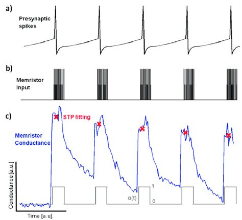 Fitting Of The Memristor Behaviour To Stp A Appearance Of A