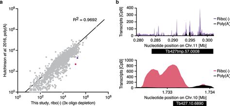 Comparisons Of Polya Enriched And Ribo − Transcriptome Datasets Download Scientific