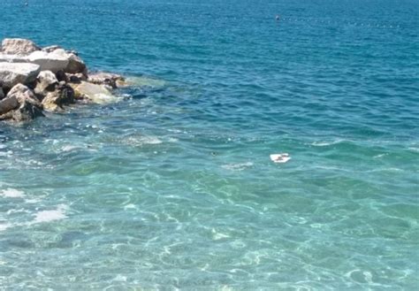 Žena ostala zatečena prizorom na hrvatskoj plaži POGLEDAJTE ŠTA PLUTA U MORU novi ba
