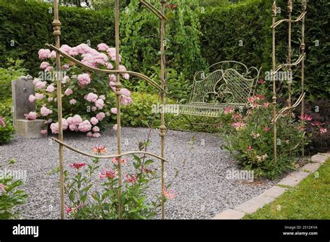 Pink Flowering Hydrangea Shrub Next To Green Wrought Iron Metal Lattice