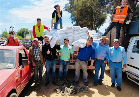 Conaf Celebra Día Mundial Del Medio Ambiente