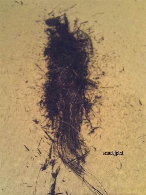 Cuttlebug B Plate Cook Scrapbooking Techniques Card Making Tips Card Making Tutorials